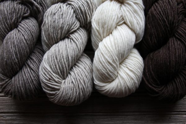 Looking for the Perfect Wool? All Natural Merino Wool : Brome Fields