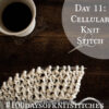 Cellular Knitting Stitch Pattern : Brome Fields