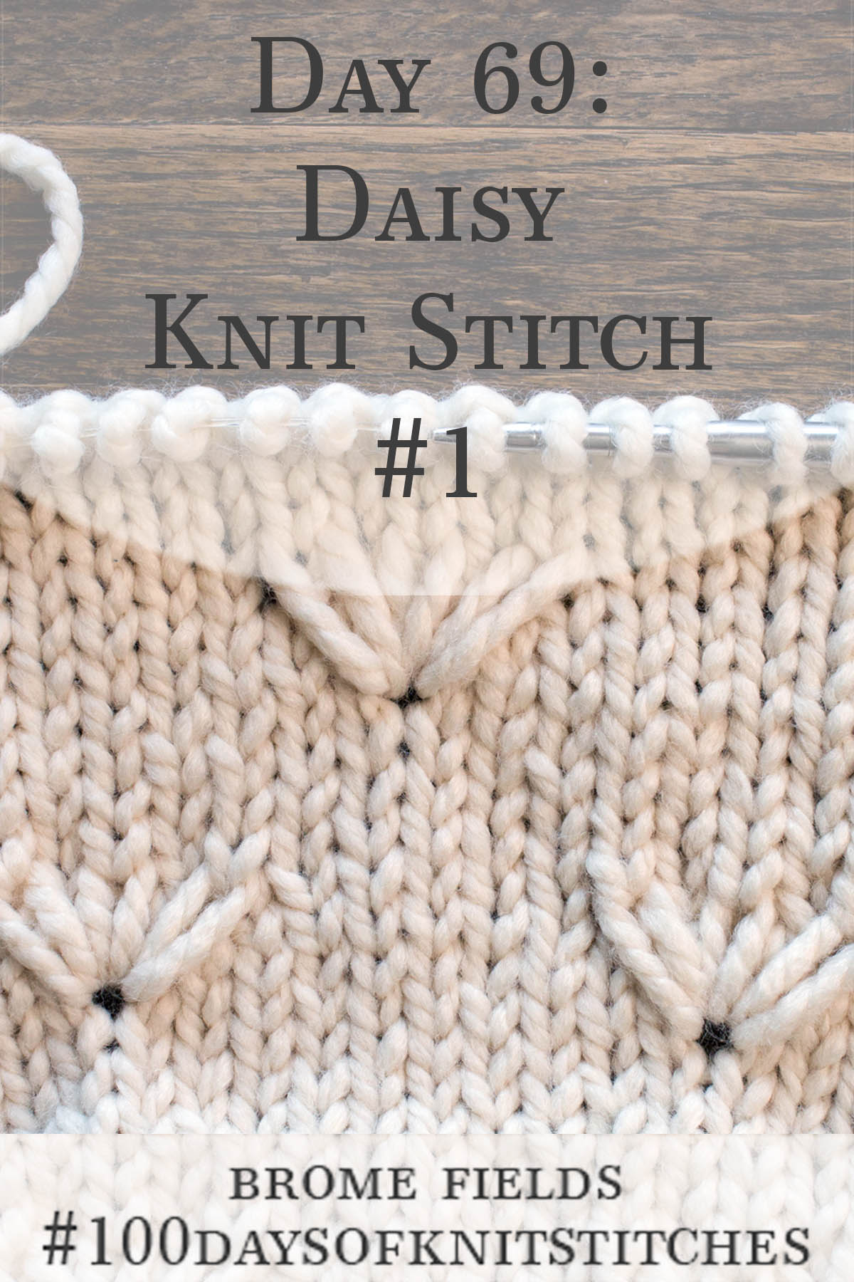 Daisy Advanced Knitting Stitch Patterns : Brome Fields