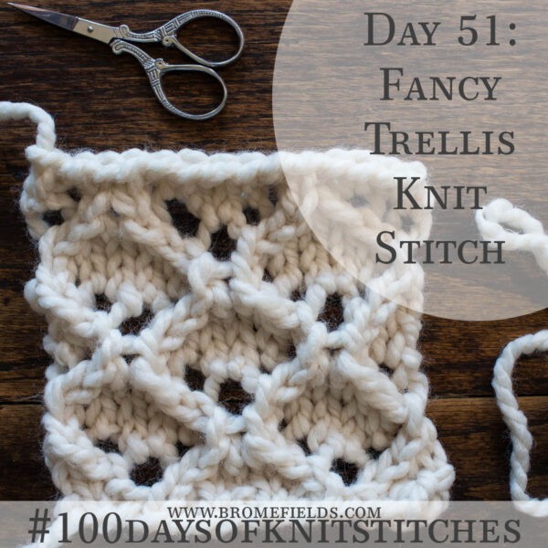 Fancy Trellis Lace Knitting Stitch Pattern : Brome Fields
