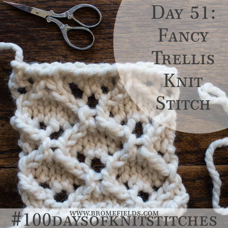 Fancy Trellis Lace Knitting Stitch Pattern : Brome Fields