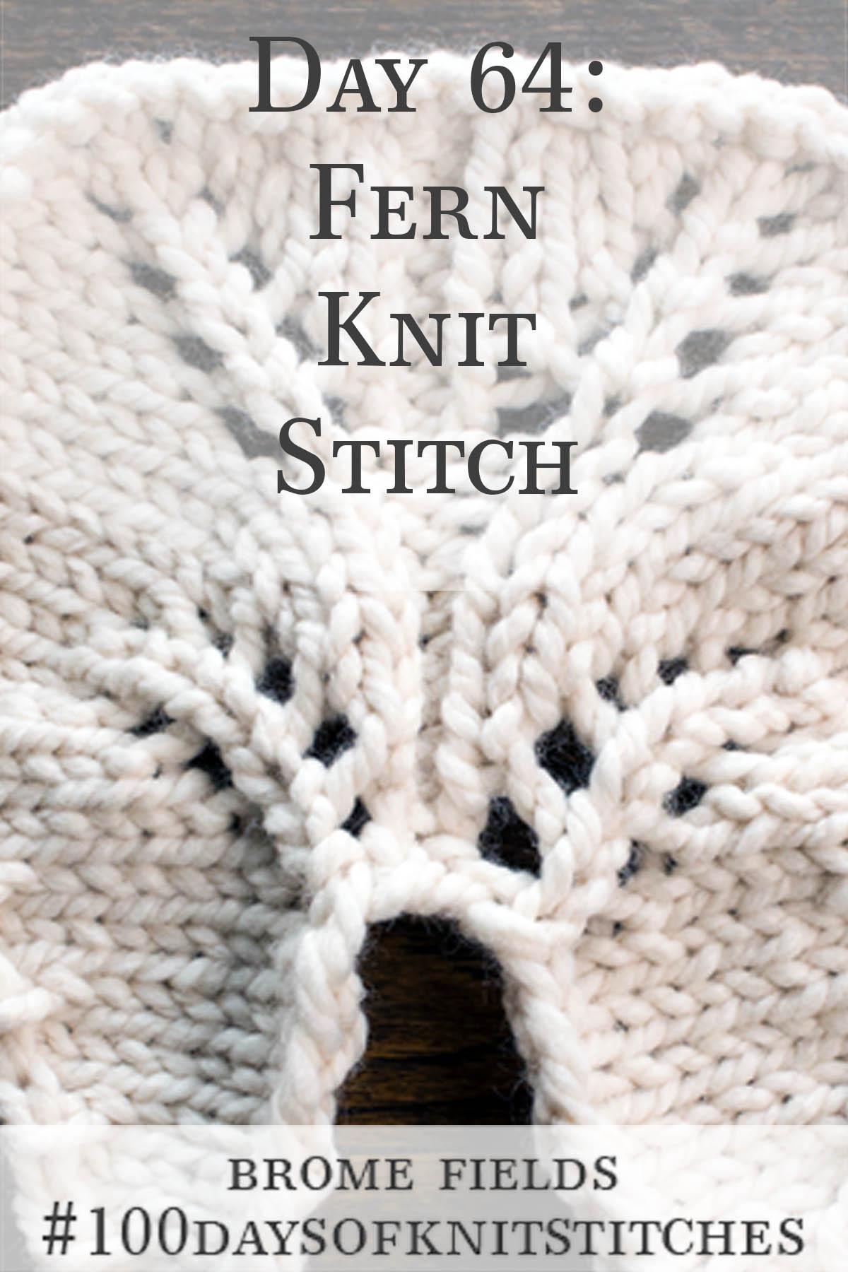 Fern Lace Knitting Stitch Pattern : Brome Fields