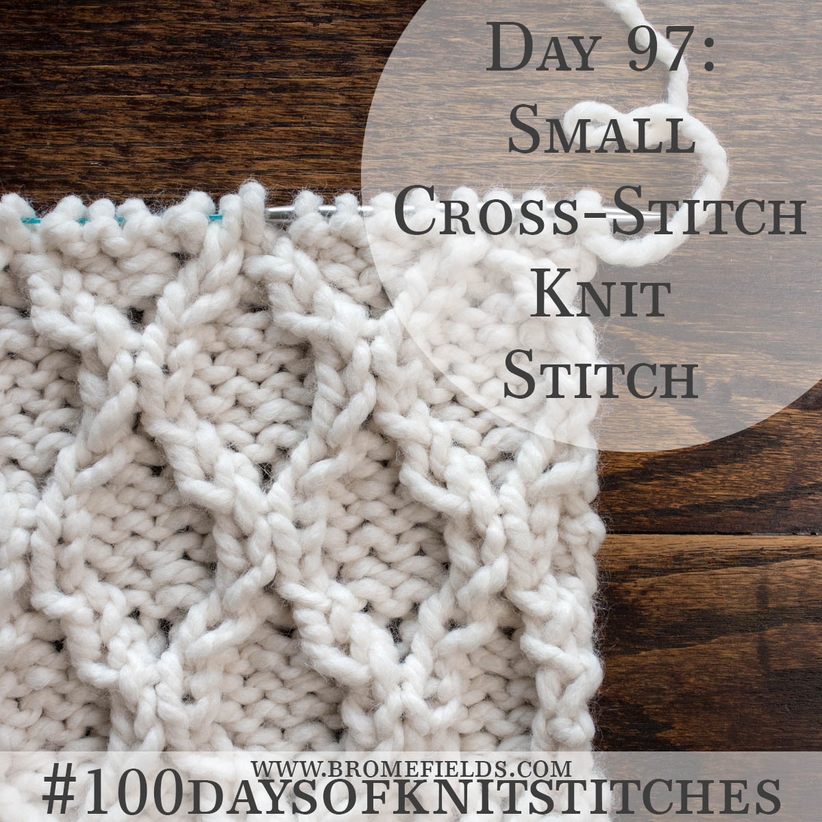 100 Days of Knit Stitches Challenge : Brome Fields