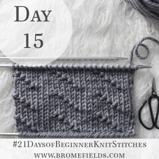 21 Days of Beginner Knit Stitches : Brome Fields
