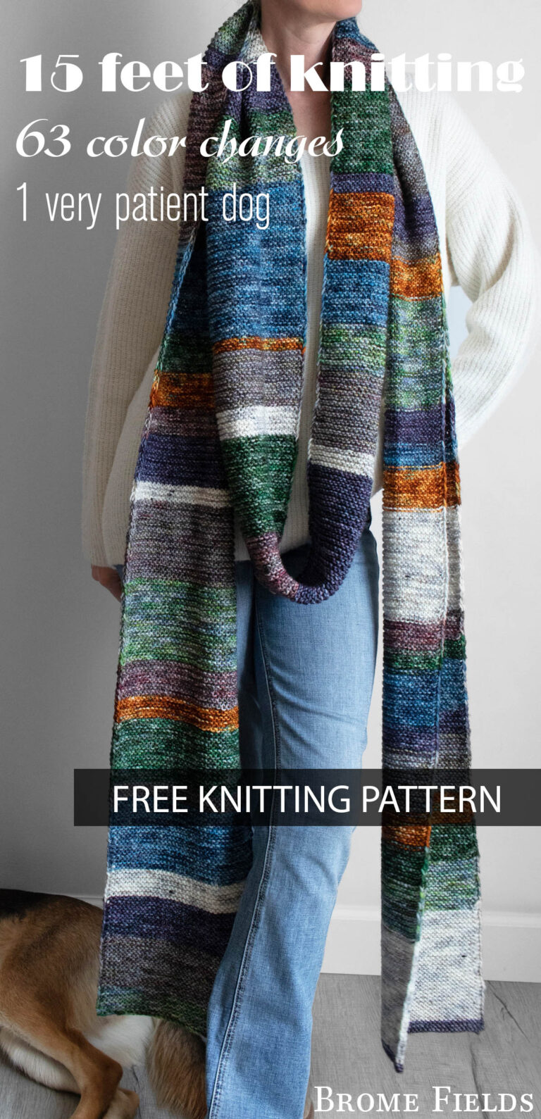 Extra Long Colorful Scarf — Free Beginner Knitting Pattern